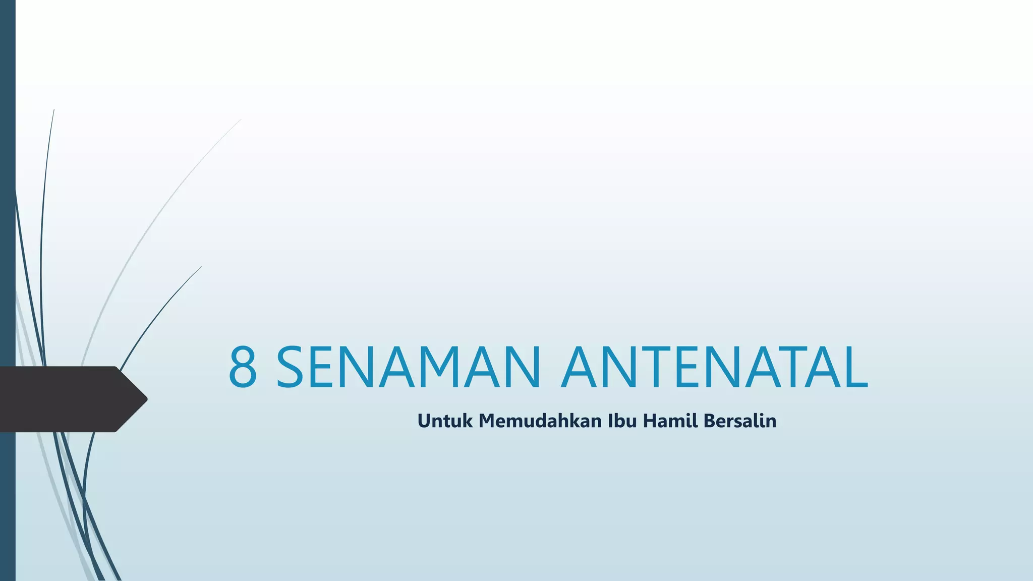 8 SENAMAN ANTENATAL.pptx