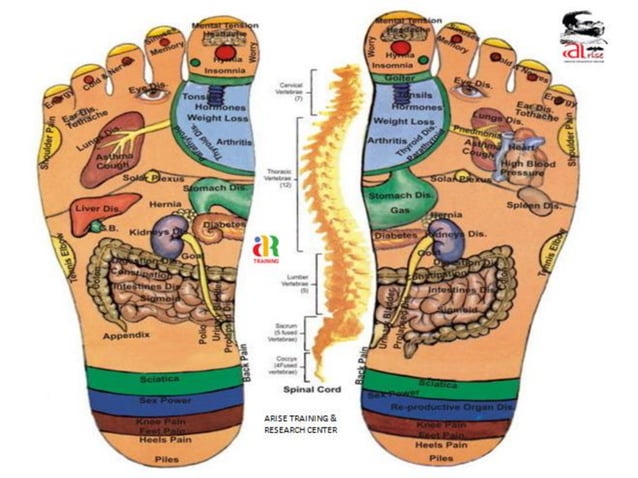 8 shape walk ariserobydreams-converted | PDF