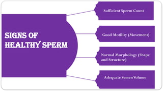 8 Signs of Healthy Sperm | Ram Prakash Embryologist | PPT