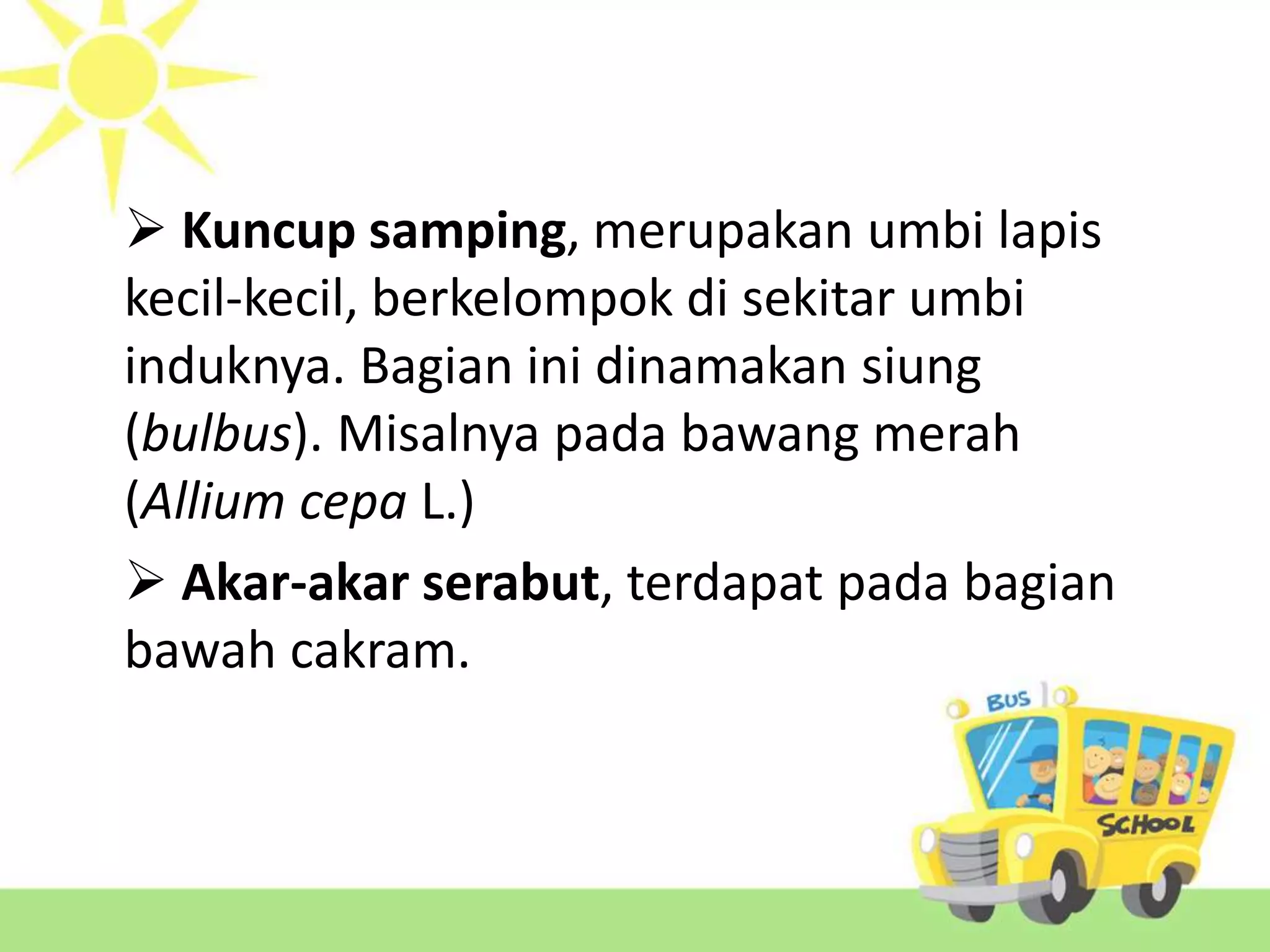 PPT Morfologi Tumbuhan - Organ Metamorfosis | PPTX