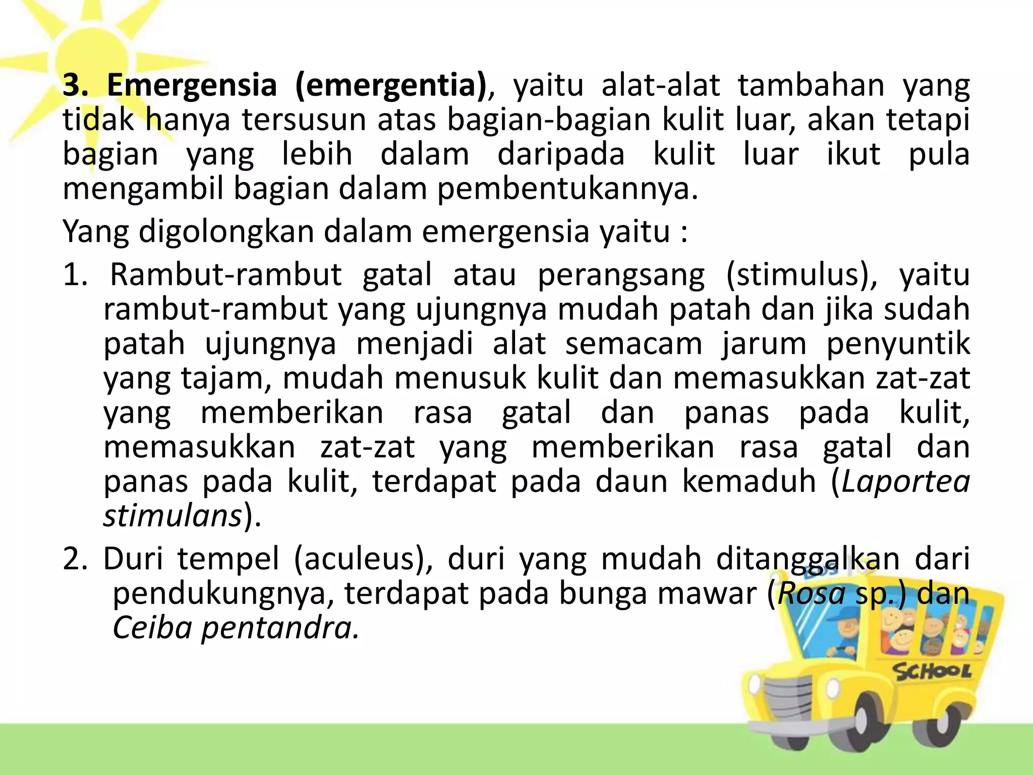 PPT Morfologi Tumbuhan - Organ Metamorfosis | PPTX