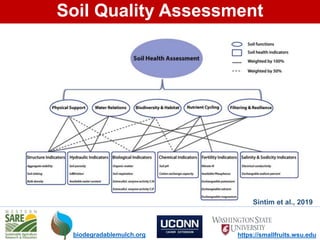 8_Soil-Health-and-Quality.pptx save soil and soil s | PPT
