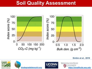 8_Soil-Health-and-Quality.pptx save soil and soil s | PPT