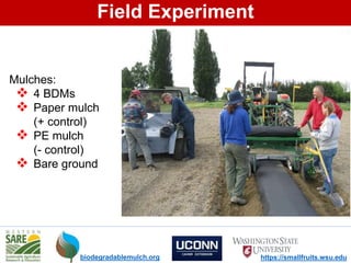 8_Soil-Health-and-Quality.pptx save soil and soil s | PPT