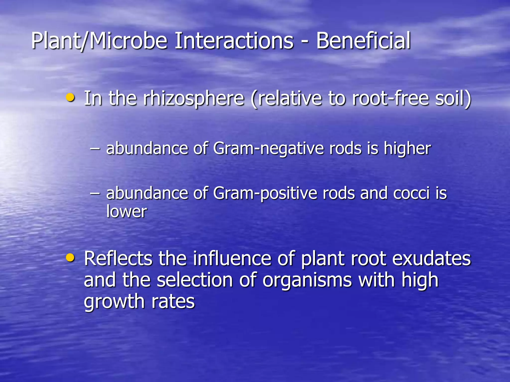 8 Soil organisms and plant-microbes interaction rev.1.ppt
