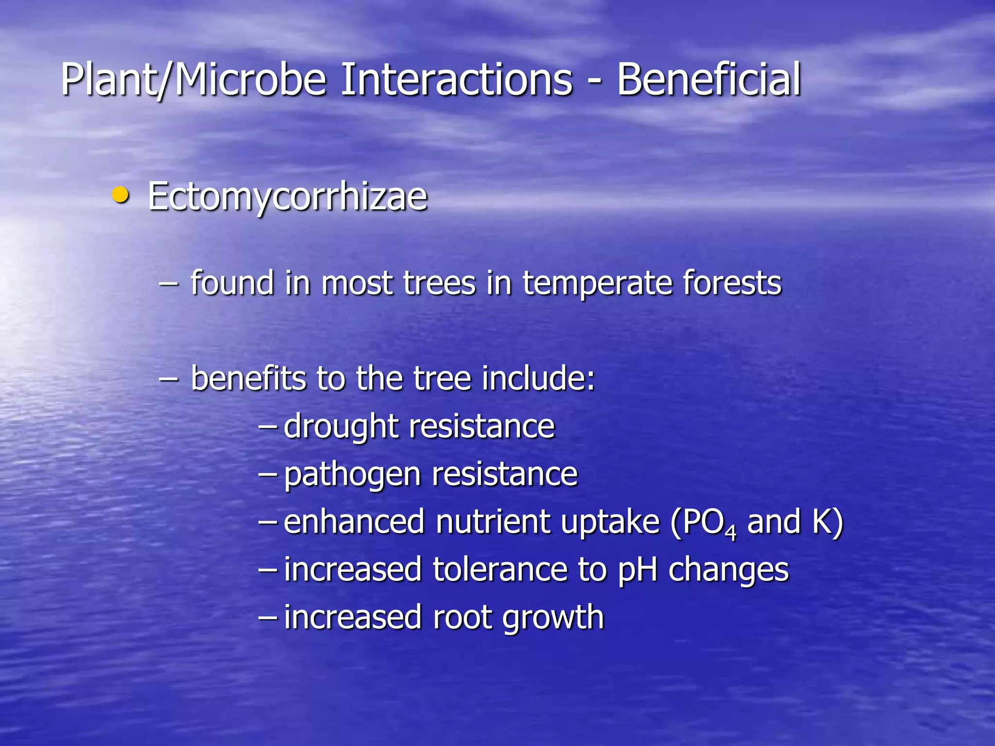8 Soil organisms and plant-microbes interaction rev.1.ppt