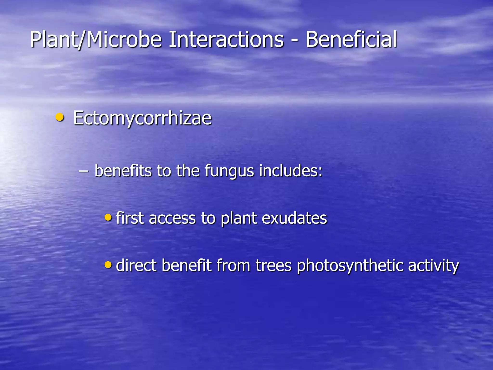 8 Soil organisms and plant-microbes interaction rev.1.ppt