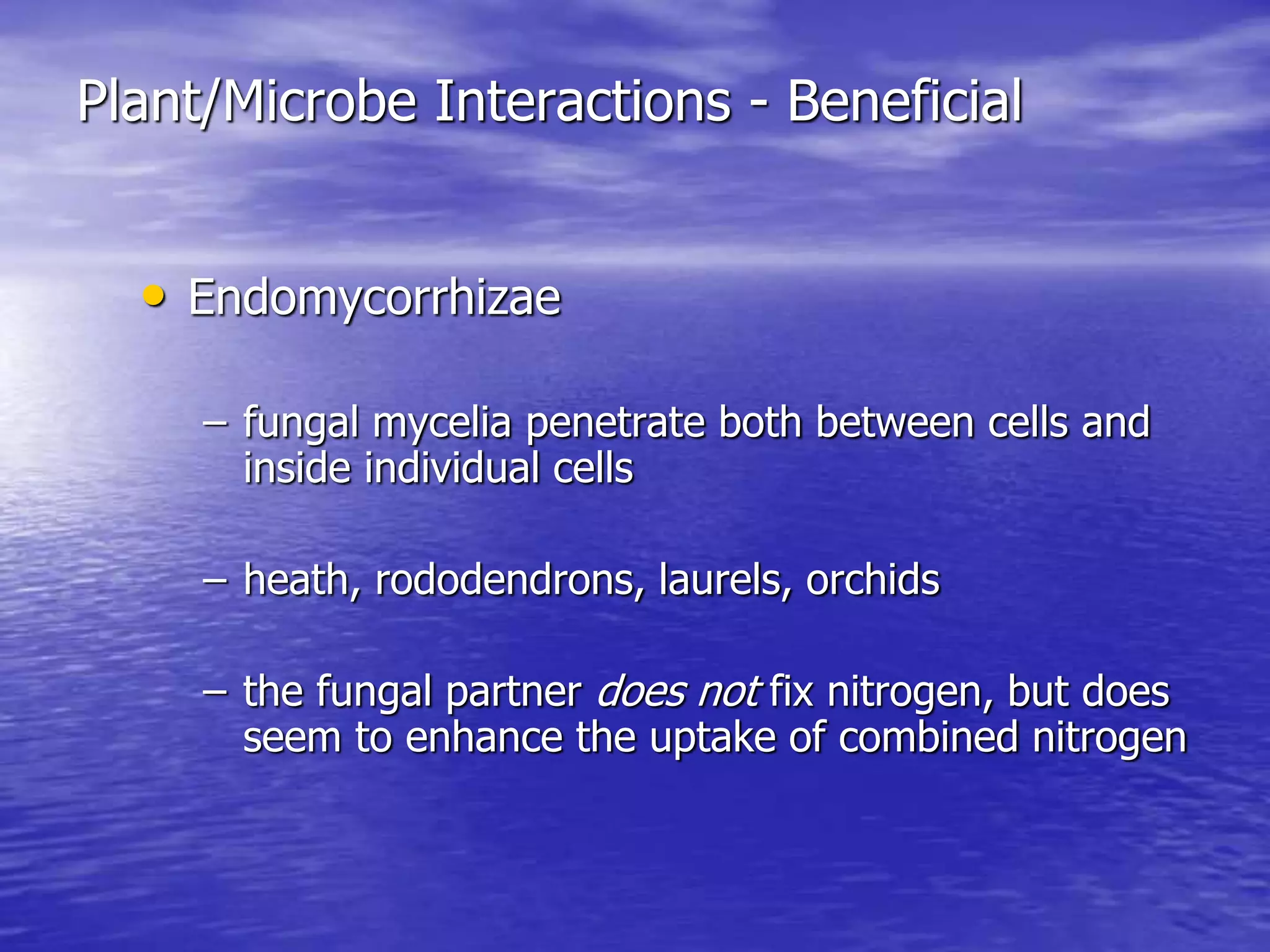 8 Soil organisms and plant-microbes interaction rev.1.ppt