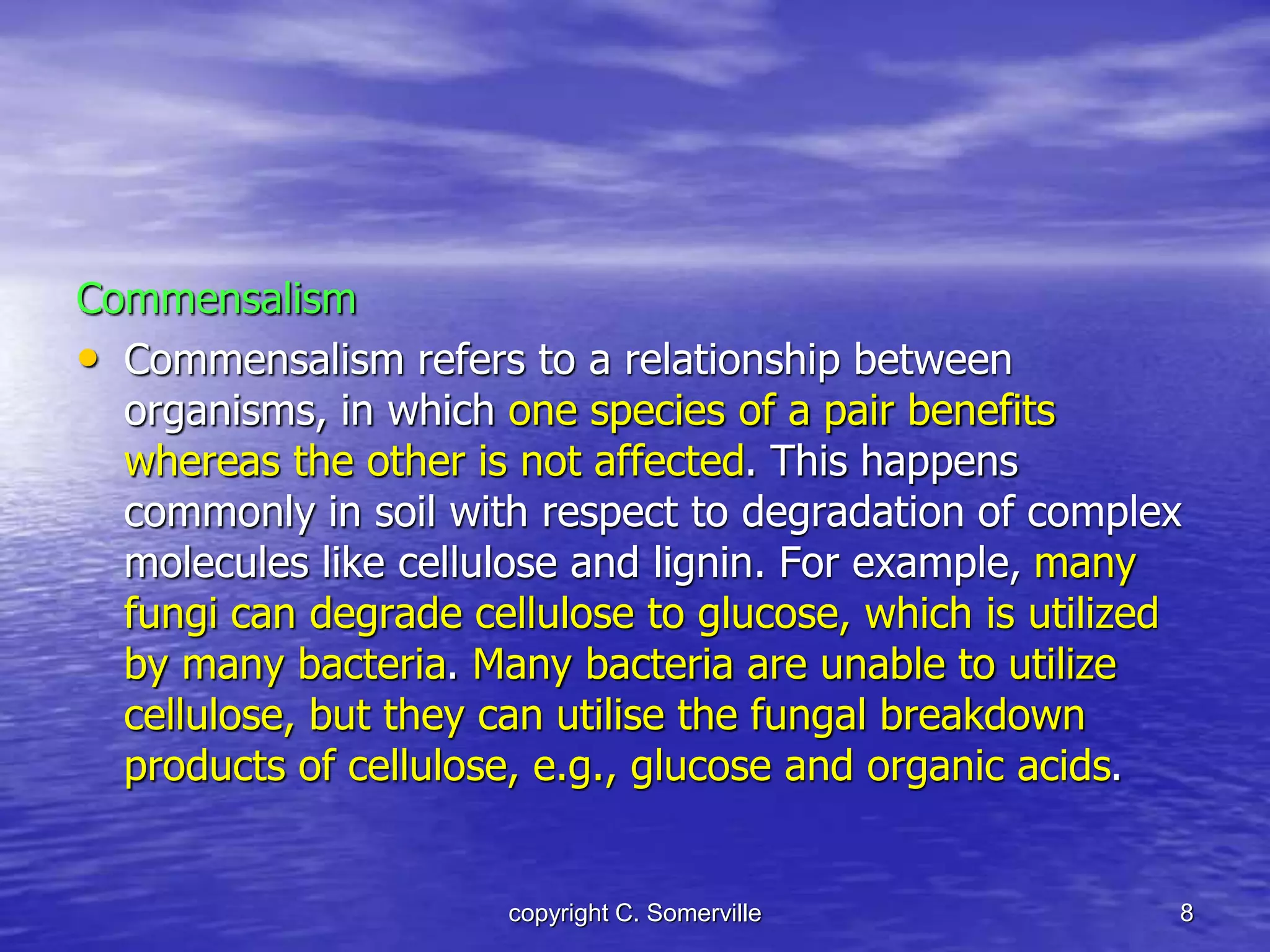 8 Soil organisms and plant-microbes interaction rev.1.ppt