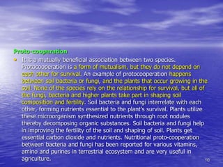 8 Soil organisms and plant-microbes interaction rev.1.ppt