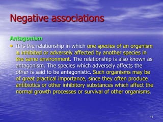 8 Soil organisms and plant-microbes interaction rev.1.ppt