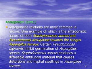 8 Soil organisms and plant-microbes interaction rev.1.ppt