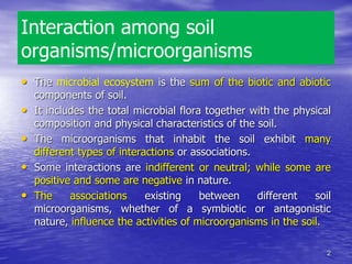 8 Soil organisms and plant-microbes interaction rev.1.ppt