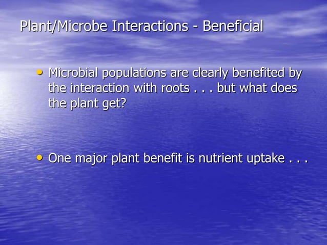8 Soil organisms and plant-microbes interaction rev.1.ppt
