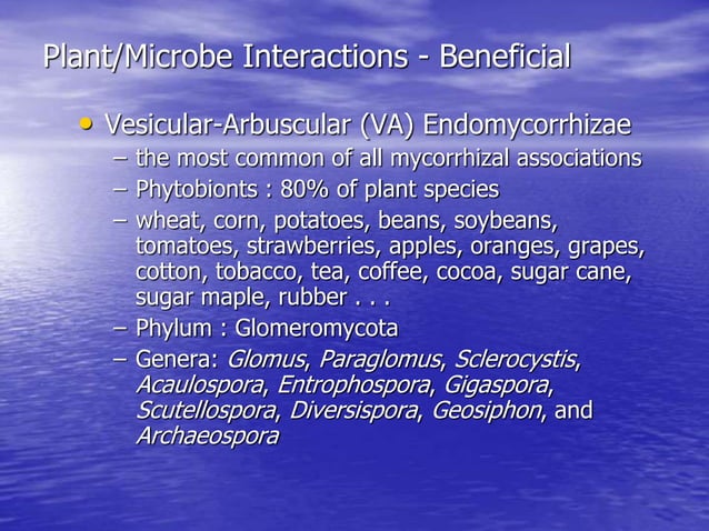 8 Soil organisms and plant-microbes interaction rev.1.ppt
