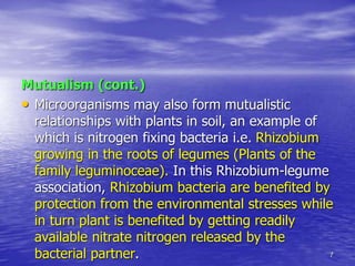 8 Soil organisms and plant-microbes interaction rev.1.ppt
