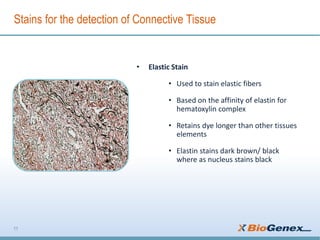 special stains | PDF