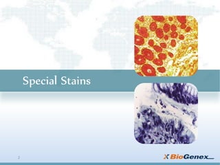 special stains | PDF
