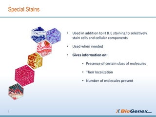 special stains | PDF