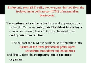 STEM CELLS IN PERIODONTICS | PPTX