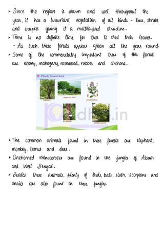 Natural_Vegetation_and_Wildlife_ | PDF | Environment | Science