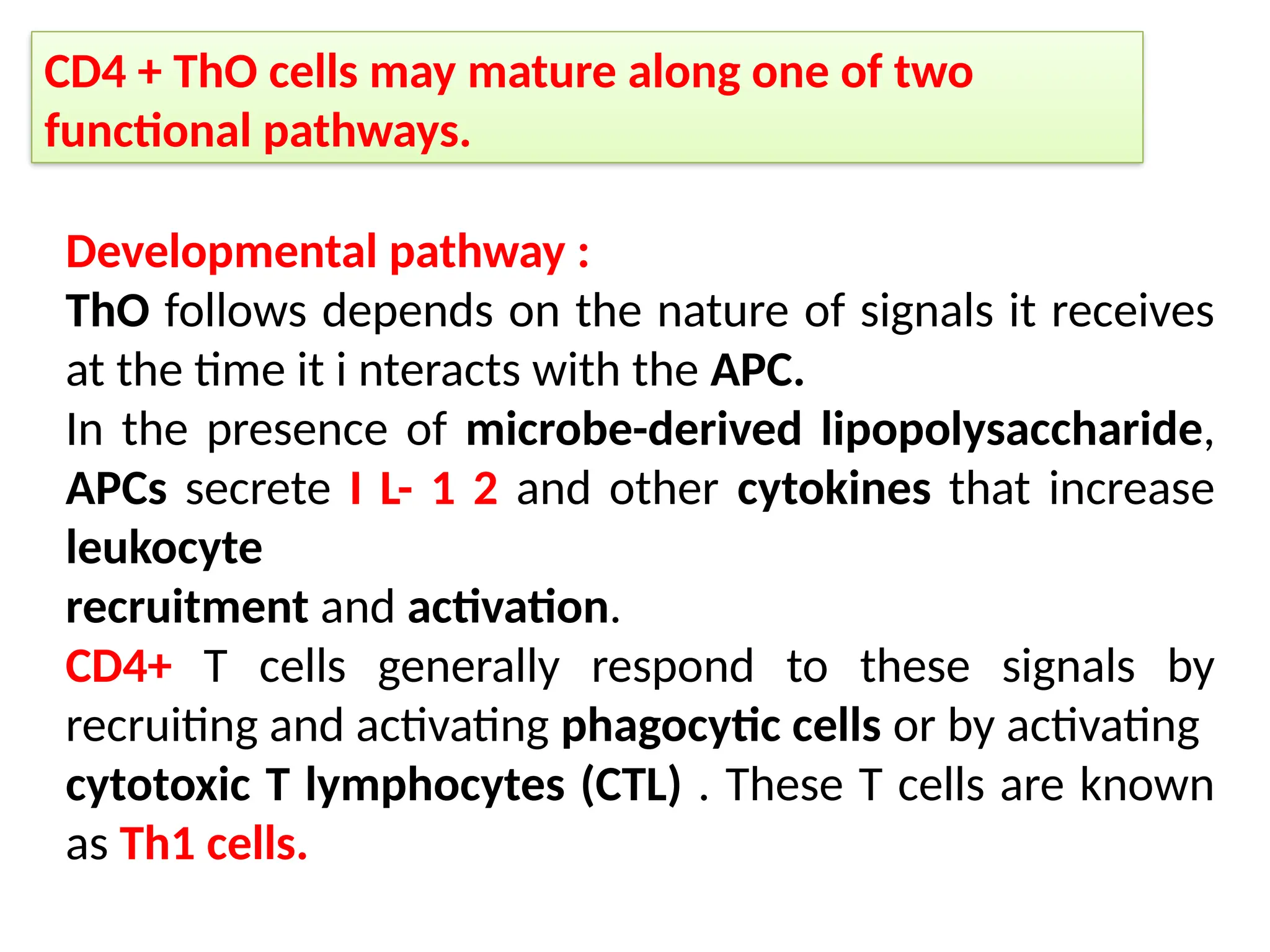 Activation of 8 T and B cell activation.pptx