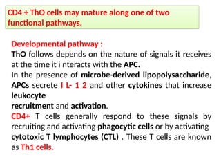 Activation of 8 T and B cell activation.pptx