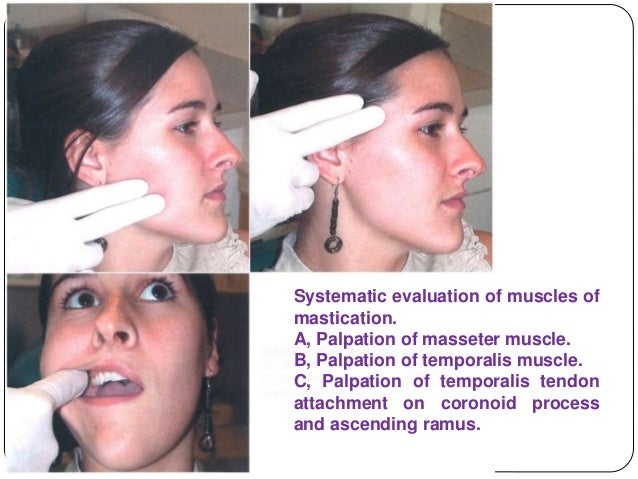 8 temporomandibular joint