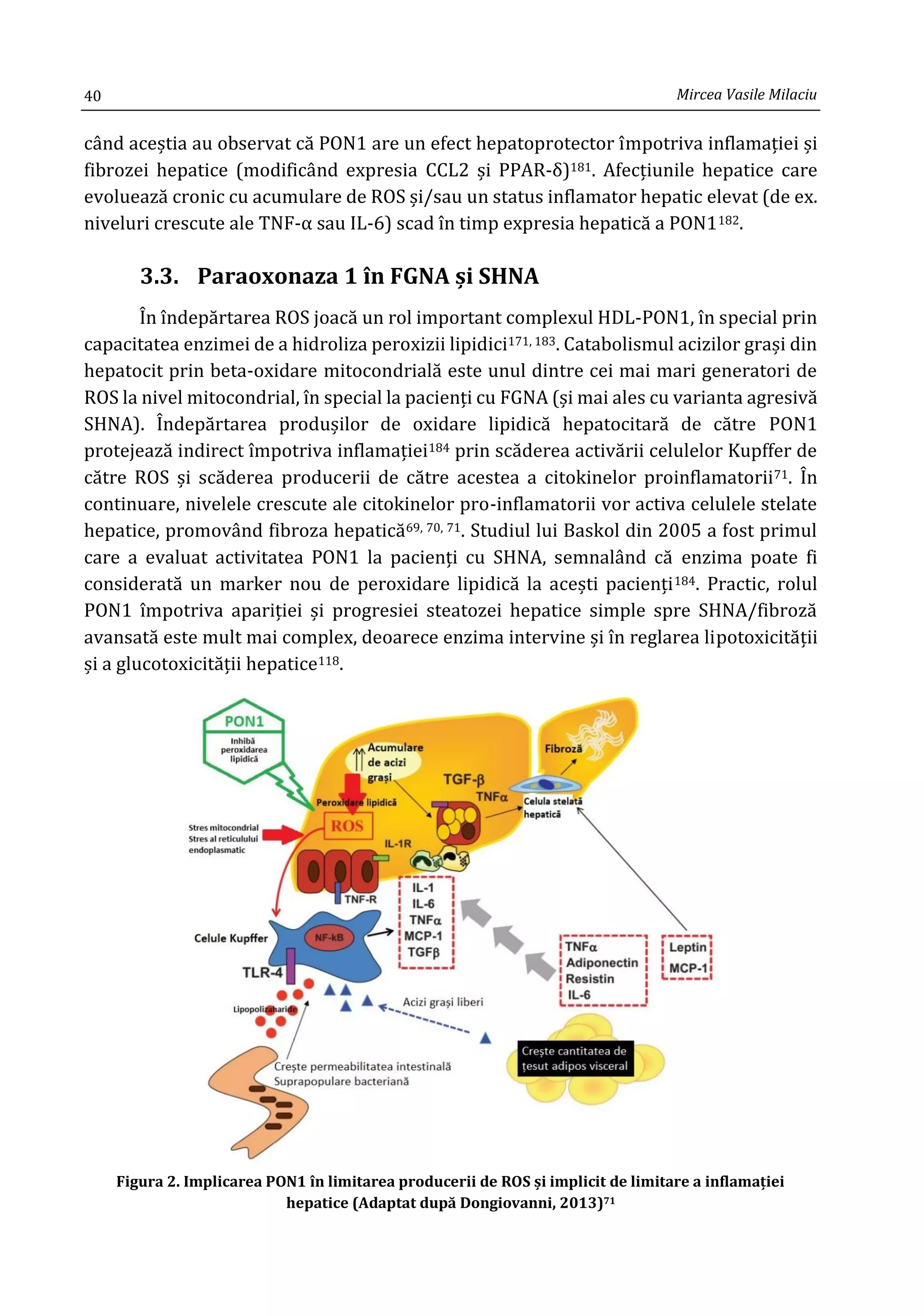 8 teza de doctorat final milaciu vasile mircea | PDF