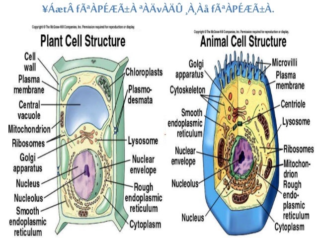 8th chapter 5. study of cells by MohanBio