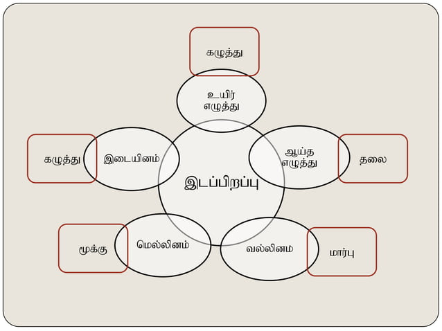 eluthu pirappu in tamil | PDF | Science
