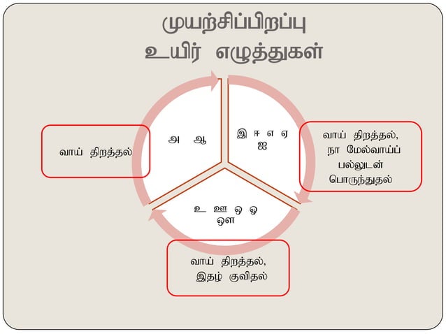eluthu pirappu in tamil | PDF | Science