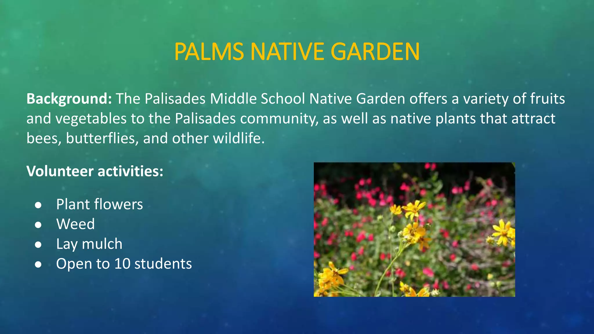 8th grade project slides | PPTX