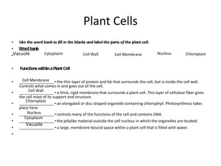 8th grade taks review power point | PPT