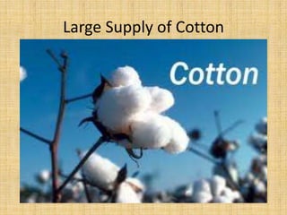 Pacolet Textile Mills | PPTX