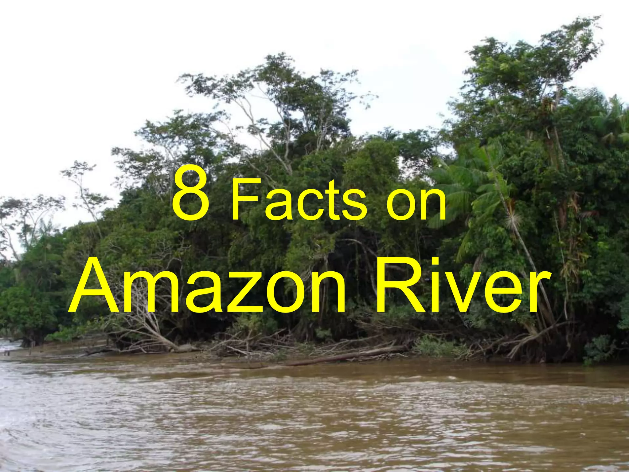8 Facts on Amazon River | PDF