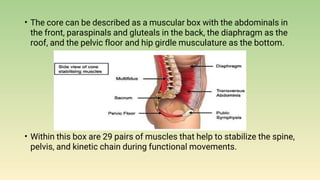 8th lec core stability.pdf | Physical Therapy | Wellness