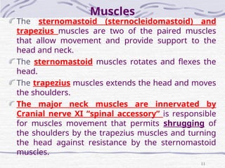 8 th lecture- head and neck assessment-JJJJJJJJJJJJJJJJJJJJJ | PPT