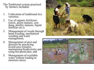 8th lesson 2020 present context of traditional knowledge | PPT