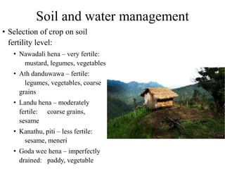 8th lesson 2020 present context of traditional knowledge | PDF
