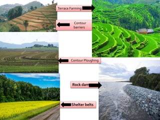 8th Std 2. Land,Soil, Water, Natural Vegetation and Wildlife Resources ...
