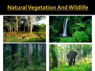 8th Std 2. Land,Soil, Water, Natural Vegetation and Wildlife Resources ...