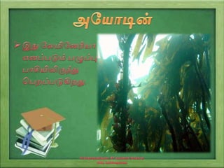 VIII th STD - THAVARA ULAGAM | PPTX