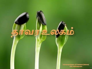 VIII th STD - THAVARA ULAGAM | PPTX