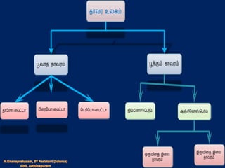 VIII th STD - THAVARA ULAGAM | PPTX