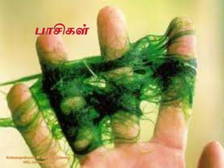 VIII th STD - THAVARA ULAGAM | PPTX