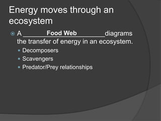 8th strand 4 changes in ecosystems | PPT