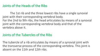8th thoracic Bone.pptx