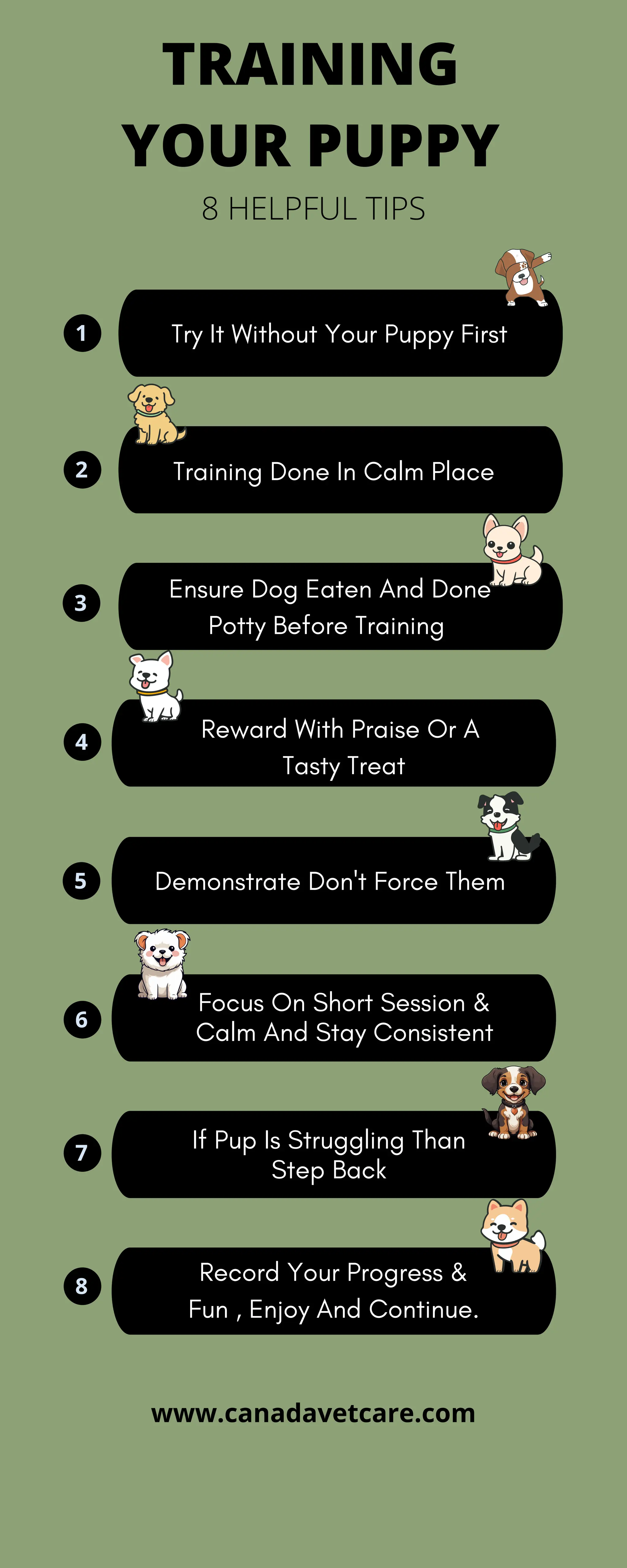 8 Helpful Tips For Training Your Puppy | PDF
