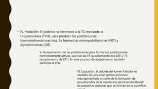 TIROIDES.pptx